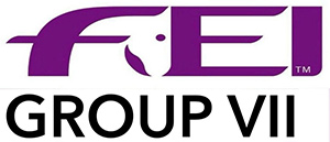 FEI Group VII